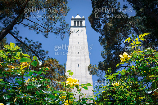 Looking up from the base of Sather tower (the Campanile) on a blue sky ...