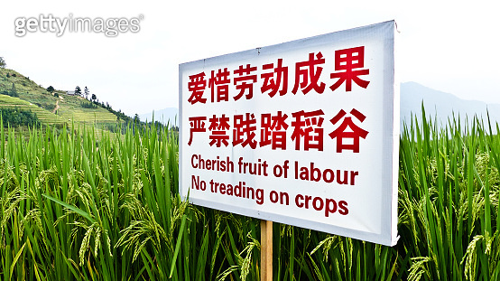 Warning sign: "Cherish fruit of labour. No treading on crops" sign on a ...