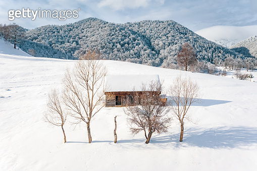 Traditional peasant house covered with snow in the Pestera Village near ...