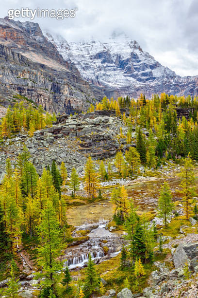 Yukness Mountain on Moor Lakes at Lake O'Hara in Canadian Rockies 이미지 ...
