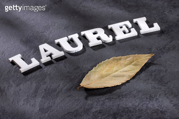 Laurus nobilis - Dry bay leaf. Laurel word in wooden letters ...