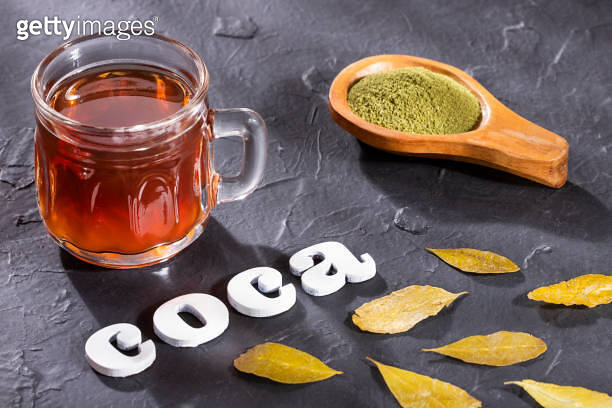 Coca leaf infusion - Erythroxylum coca. (1175895241) - 게티이미지뱅크