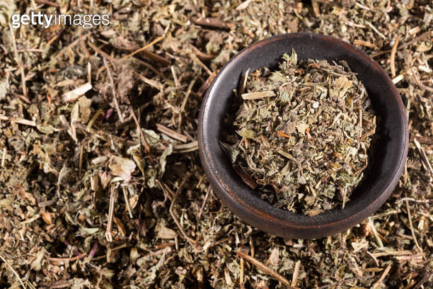 Phyllanthus niruri - stone chanca. to eliminate kidney stones and fight ...