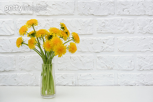 Bouquet of yellow dandelion in vase on table background white brick ...