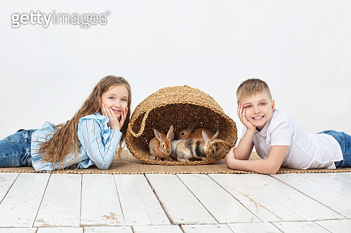 Children boy and girl happy with a beautiful fluffy little Bunny ...