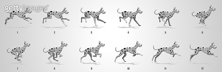 Dog Run cycle animation Sequence (1177269581) 일러스트, 무료 일러스트 - 게티이미지뱅크