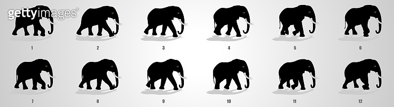 Elephant Run cycle animation Sequence 이미지 (1177269483) - 게티이미지뱅크