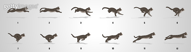 Cat Run cycle animation Sequence (1177269237) 일러스트, 무료 일러스트, 아이콘, 무료 ...