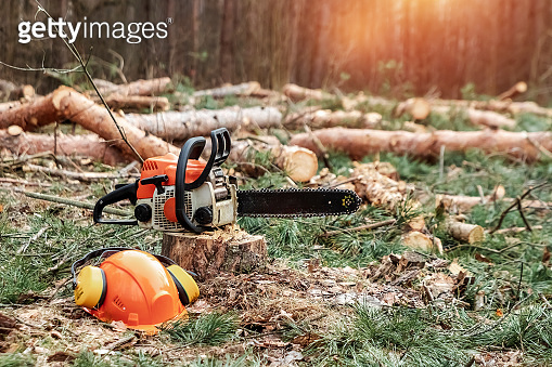 Professional chainsaw close up, logging. Cutting down trees, forest ...