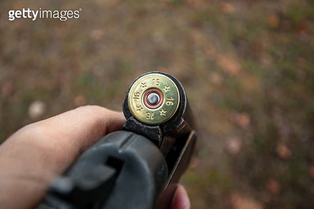Close-up reloading of a hunting rifle. The hunting period, the season ...