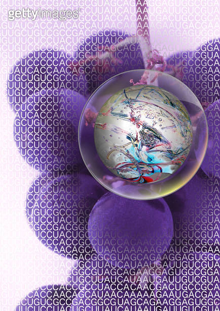 Genetically modified grape and cell image and genetic code (1153613753 ...