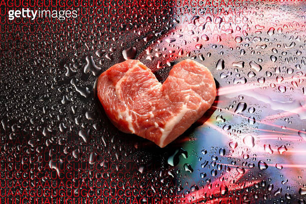 Heart-shaped artificial cow meat placed in a stainless steel container ...