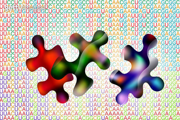 Chromosome-like jigsaw and RNA code 이미지 (1153791470) - 게티이미지뱅크