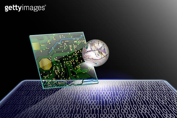 Electronic circuits and cells and molecules displayed on transparent ...