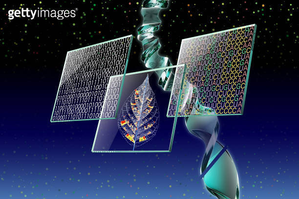 Image of genetic engineering and DNA Microarray. The binary code and ...
