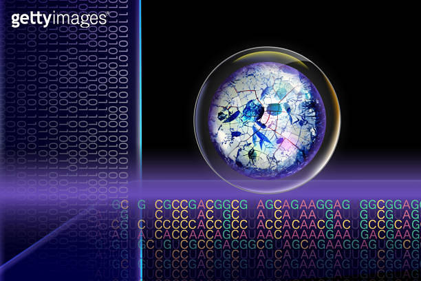 Computer analysis of DNA and RNA of human cells and viruses. Binary codes and gene codes appear ...