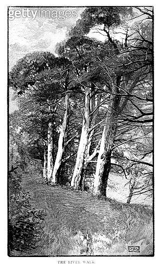 Victorian black and white engraving of the river walk at 17th c Brahan ...