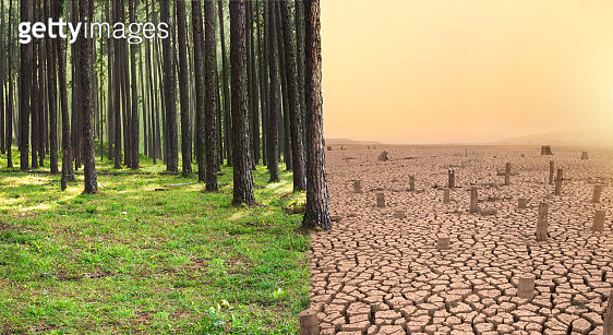 Environment Disaster and Climate Change 이미지 (1167320726) - 게티이미지뱅크