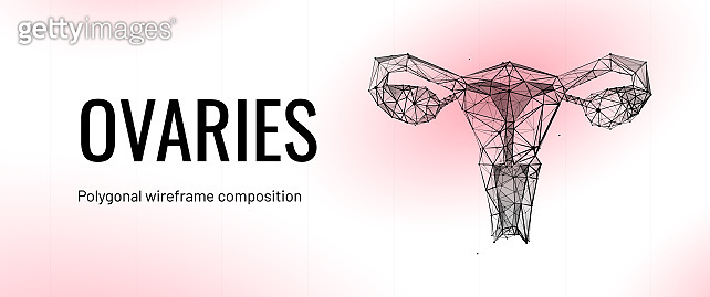 Female uterus and ovaries abstract scientific background, reproductive ...