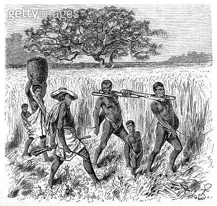 Slave transport 이미지 (1129857687) - 게티이미지뱅크