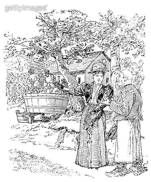 Bare feet crushed grapes with grape juice as two people stomp grapes in ...