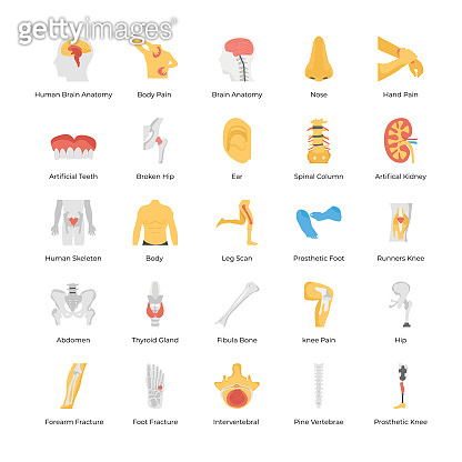 Pack Of Orthopedic Prosthesis Medical Implants Artificial Body Parts ...