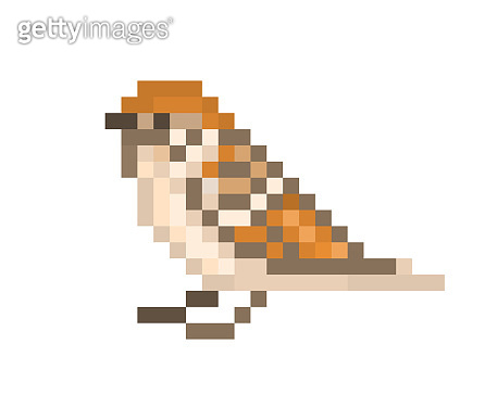 Pixel art sparrow isolated on white background. 8 bit little bird icon ...