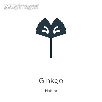 Ginkgo icon vector. Trendy flat ginkgo icon from nature collection isolated on white background ...