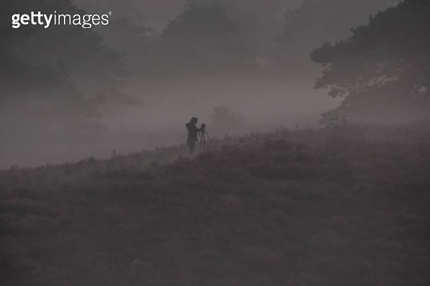 Photographing the misty heath sunrise (1170112903) - 게티이미지뱅크