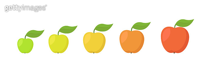 Apple fruit ripeness stages chart. Colour and size, scale gradation set ...