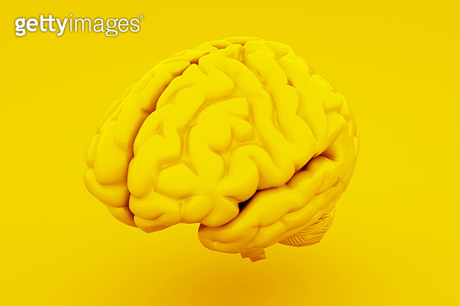 Yellow Human Brain, Anatomical Model. 3D illustration (1129530892) 일러스트 ...