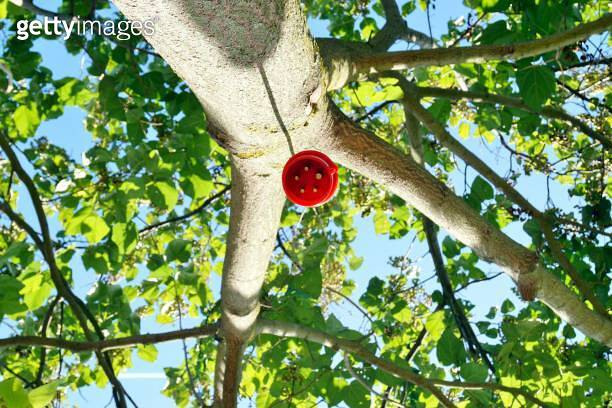 Green Power. Power plug, Red High voltage power plug hanging on Tree ...