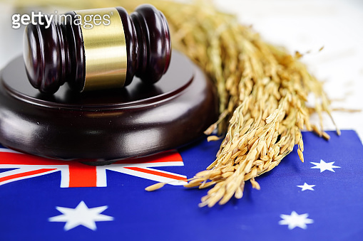 Australia flag and Judge hammer with gold grain from agriculture farm ...