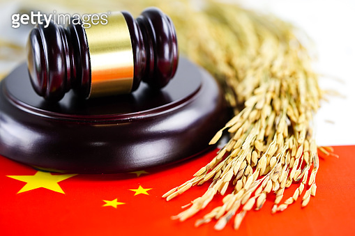 China flag and Judge hammer with gold grain from agriculture farm. Law ...