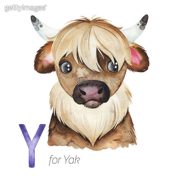 Cute Yak for Y letter. (1191693813) - 게티이미지뱅크