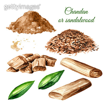 Sandalwood or Chandan Set. Sticks, shavings, powder and leaves ...