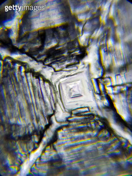 Salt crystal under microscope (1165250431) - 게티이미지뱅크