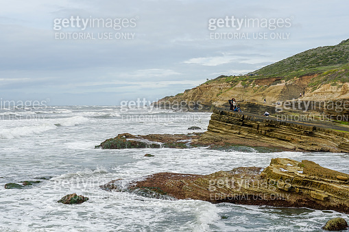 Point Loma tide pools. San Diego, CA. USA. (1141553032) - 게티이미지뱅크