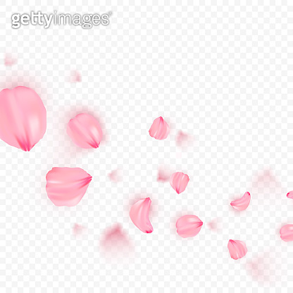 Pink sakura falling petals vector background. 3D romantic illustration ...