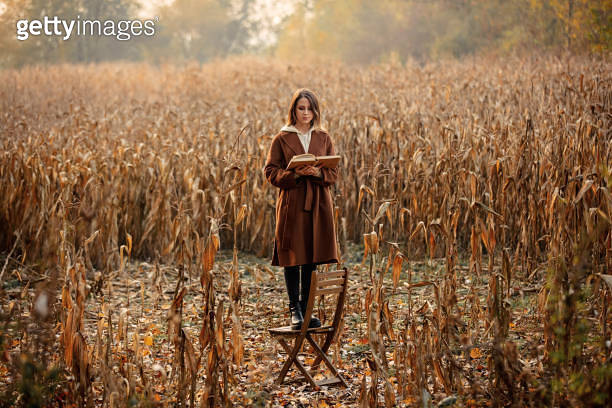 Style woman with book stay on chair on corn field in autumn time season ...