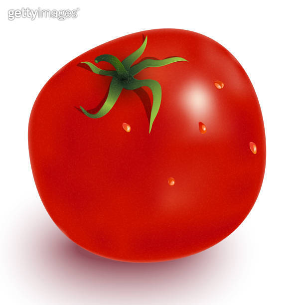 Vector realistic image of red tomato with shadow, highlights, water ...