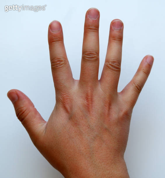 White Male Hand Shows Five 이미지 (1187636246) - 게티이미지뱅크