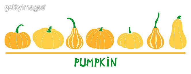 Set with six pumpkins: bottle gourd; cinderella variety; butternut ...