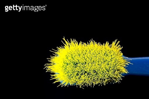 Blue and yellow used professional soft toothbrush 이미지 (1093912152) - 게티 ...