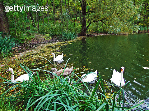 Nature reserve Wichenstein or Nature Reserve Wichenstein or Wichenstein ...