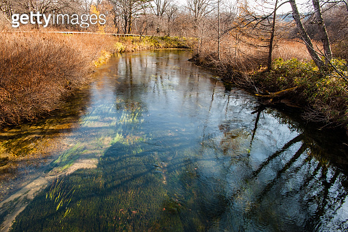 Windy River reflecting light and shadow. Autumn at Senjogahara plateau ...