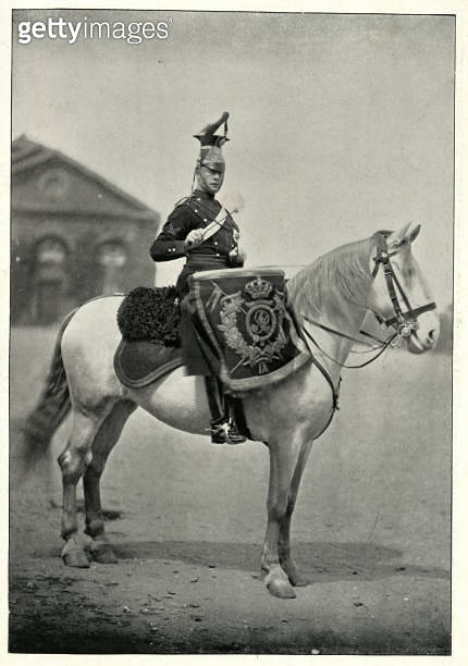British Army, Drum-horse of 9th (Queen's Royal) Lancer, 19th Century ...