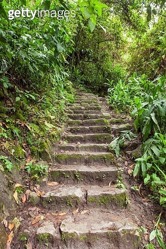 Machu Picchu, pathway to peruvian incan town (1182531598) - 게티이미지뱅크