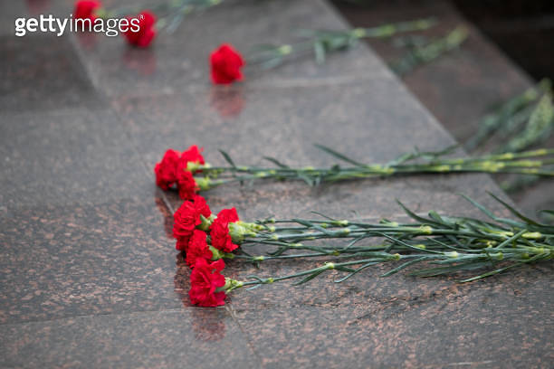 Red roses and carnation symbol of mourning - laying flowers to the ...