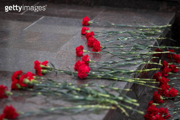 Red roses and carnation symbol of mourning - laying flowers to the ...